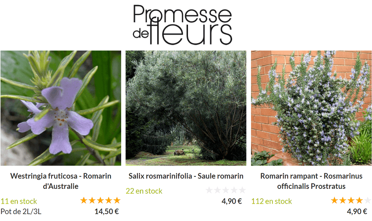 Promesse de Fleurs : Avis sur le Site de Bulbes, Graines & Plantes ...