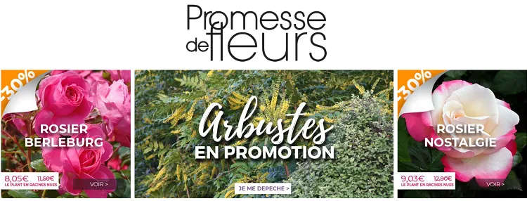 Promesse de Fleurs : Avis sur le Site de Bulbes, Graines & Plantes ...